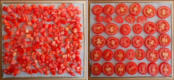Dehydrating Vegetables for Trail & Emergency Meals | Backpacking Chef